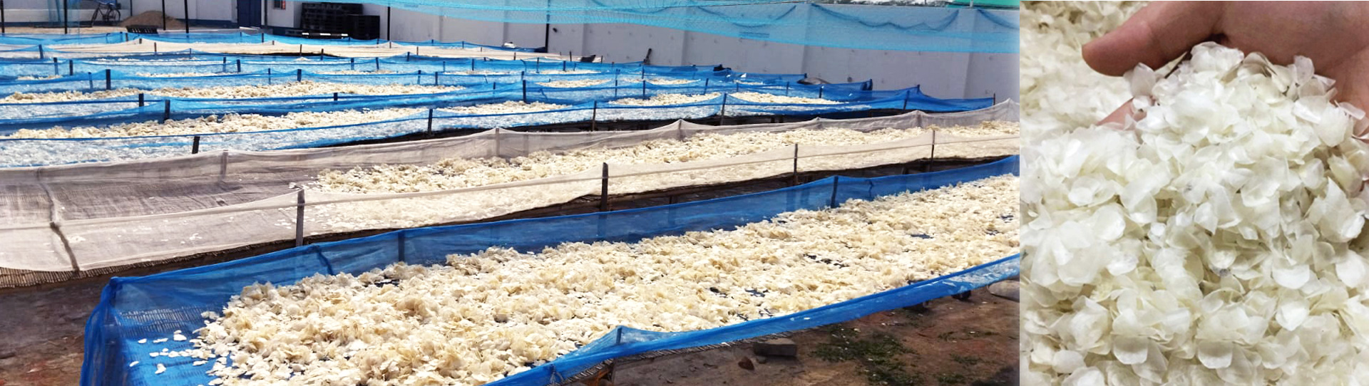 Sustainable Raw Material Sourcing | APQA Marine Ingredients